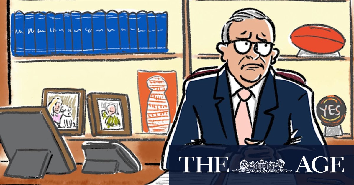 Best Cartoons to Watch on July 7, 2025: A Guide to Future Animation ...