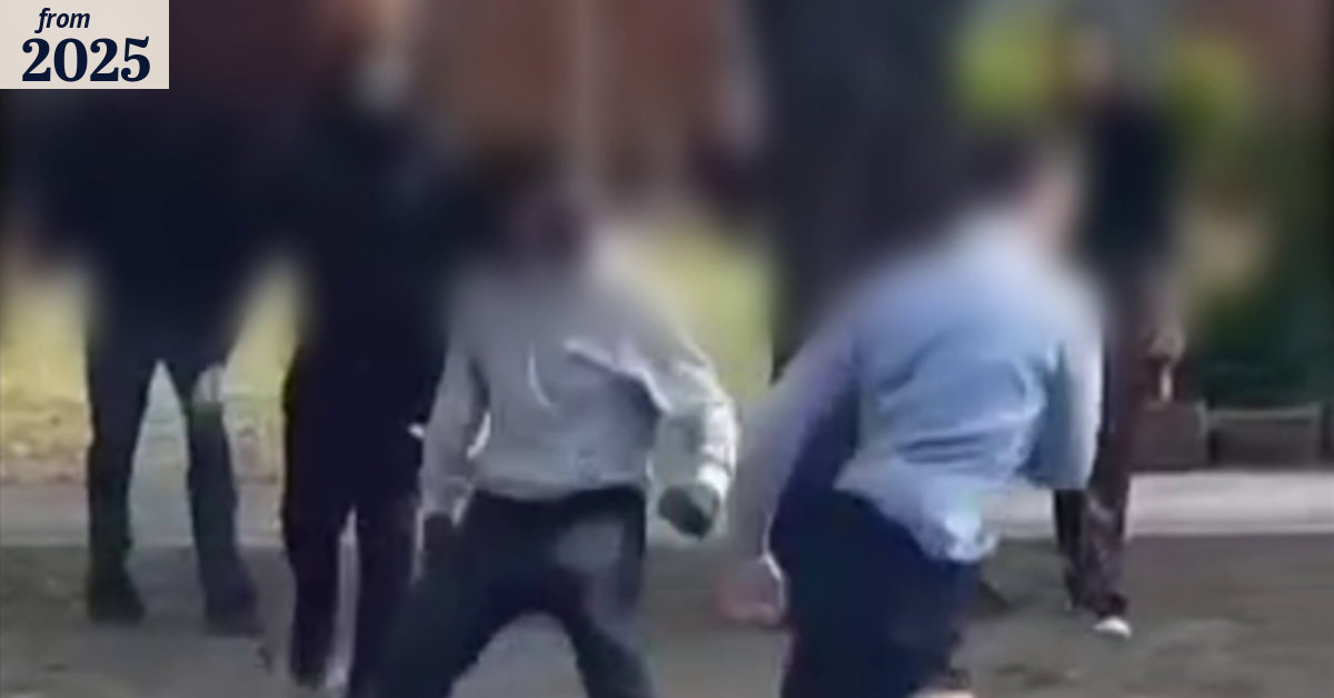 Teenage girl arrested after machete brandished in school attack that ...