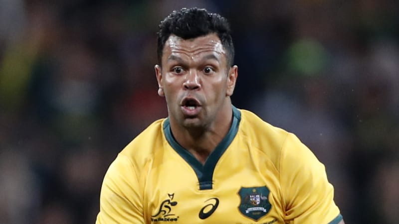 Wallabies attack is the worst in almost 40 years, statistics reveal