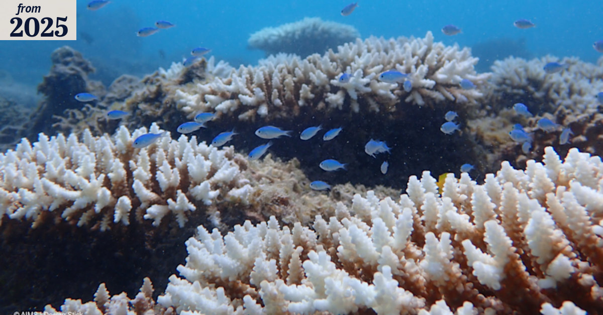 National Climate Risk Assessment: Report warns of rising mortality and ...