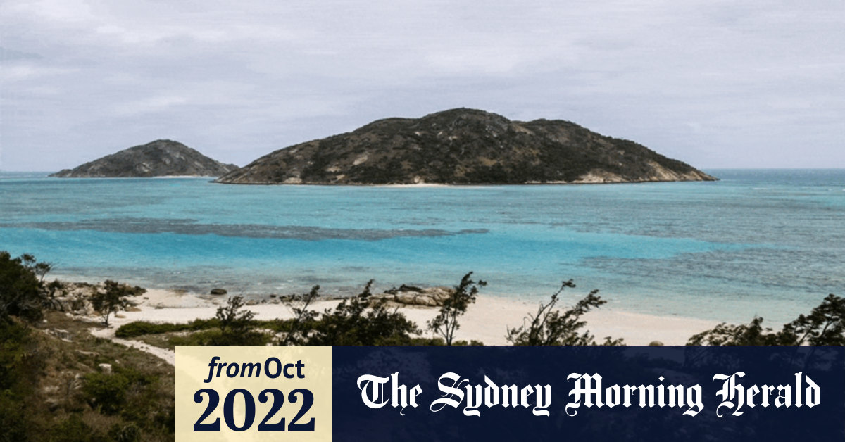 Climate change: Coral, marine life return to Lizard Island on Great ...