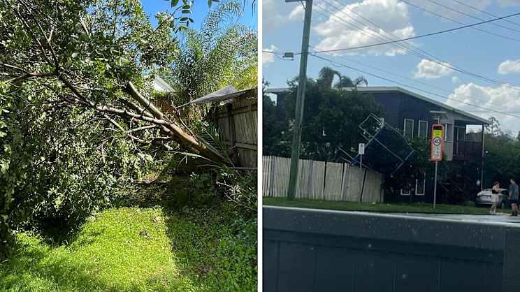power lines down brisbane