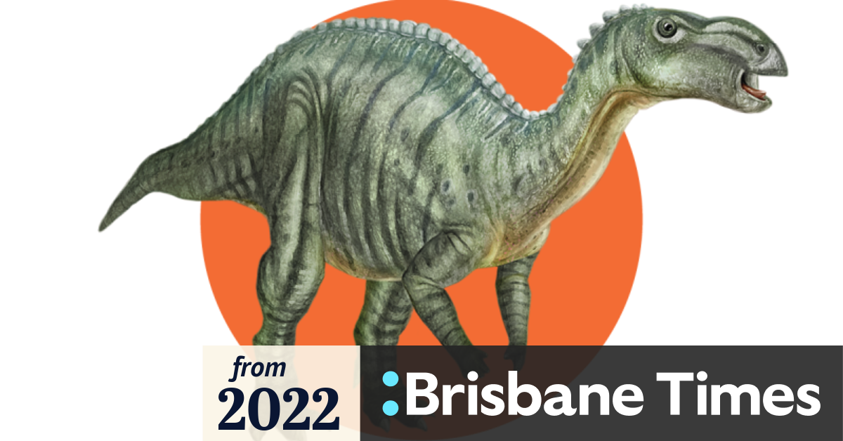 Prehistoric predators, plants among picks to be Queensland emblem
