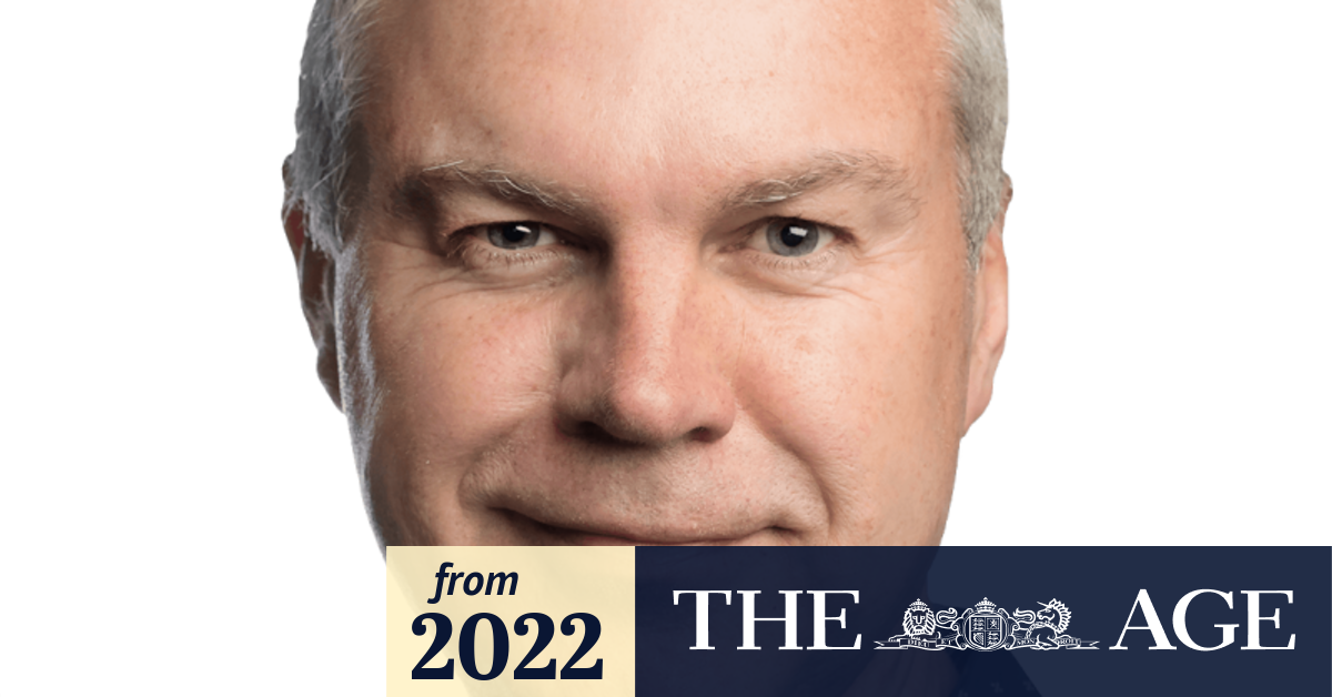 Sports writer Peter Ryan wins best opinion and analysis at AFL Media ...