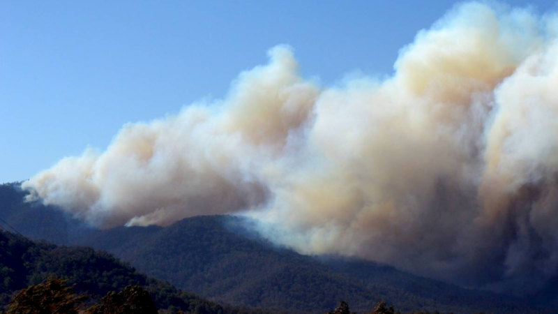 Bemboka bushfire sparks emergency warning as residents told it's too ...