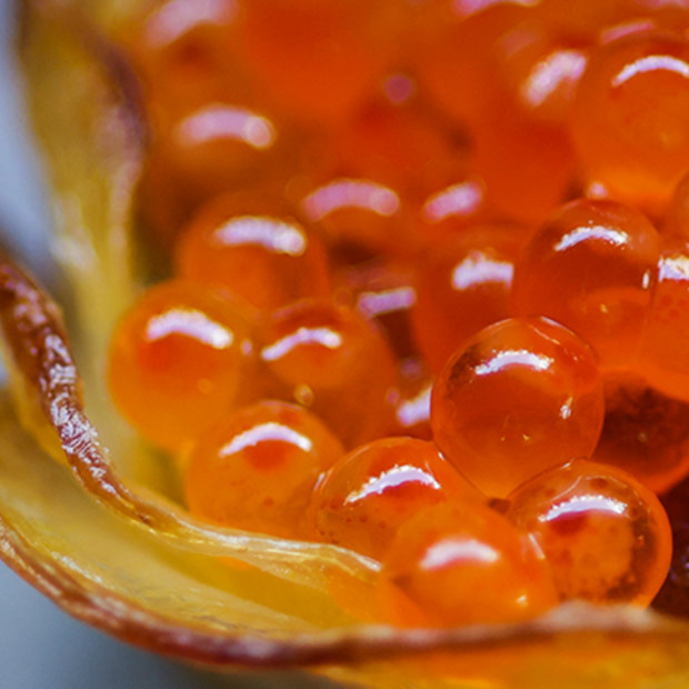 Yarra Valley Caviar, the roe that ‘pops’, is coming to a restaurant ...