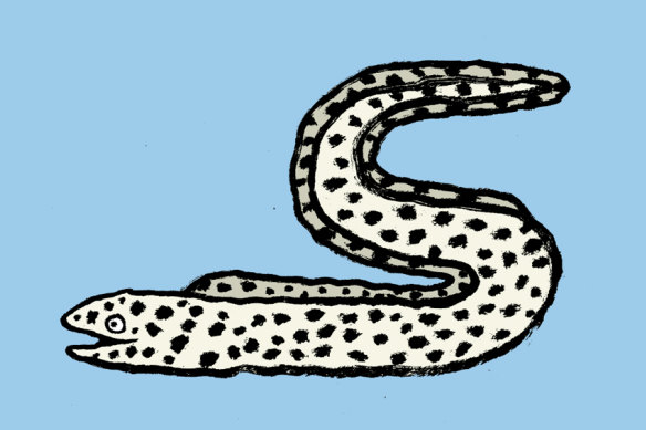 NGV Triennial: Can Jean Jullien’s talking fish help your kids save the ...