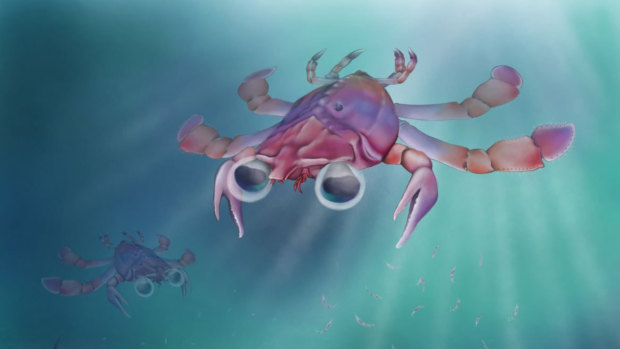 how to make crab eyes