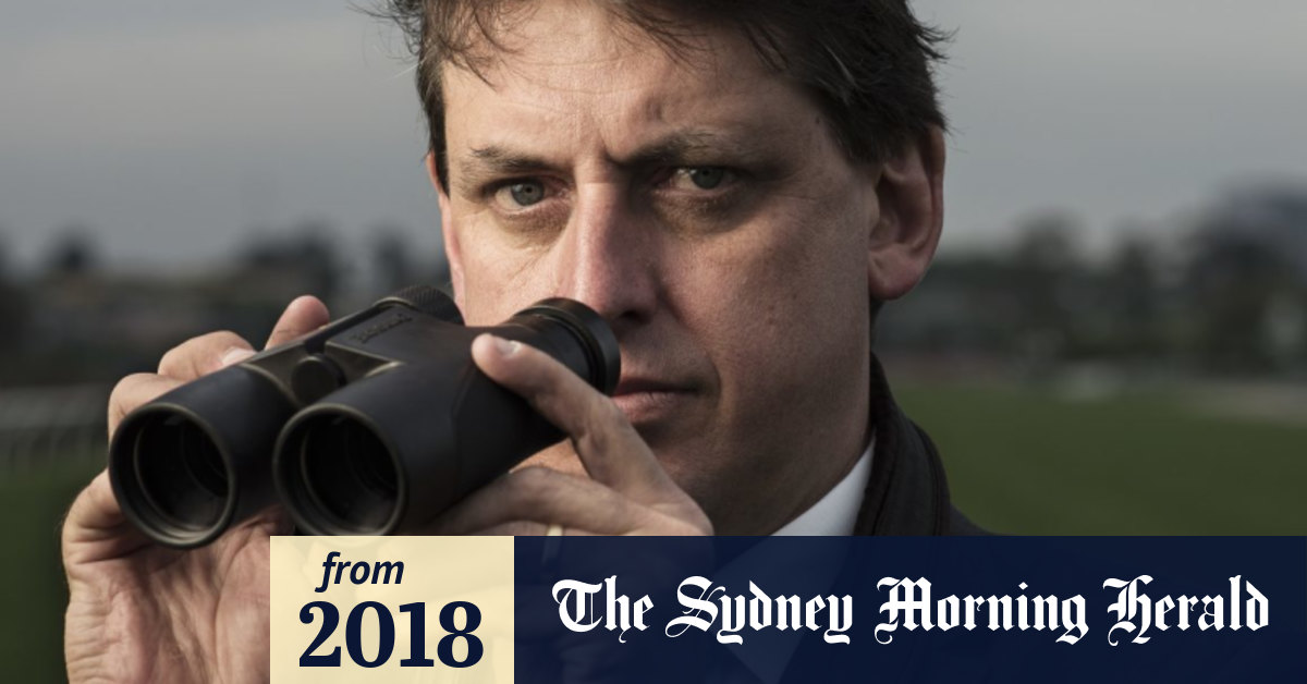 Racing Victoria chief steward Terry Bailey resigns