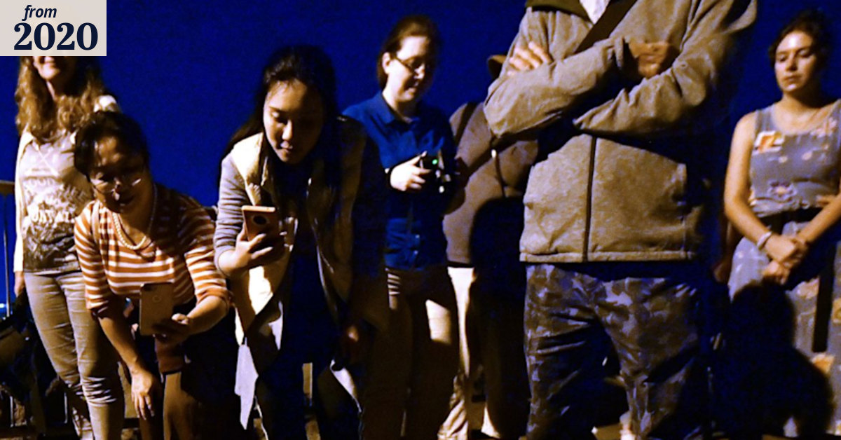 St Kilda penguin colony: Rangers roped in to help wrangle crowds