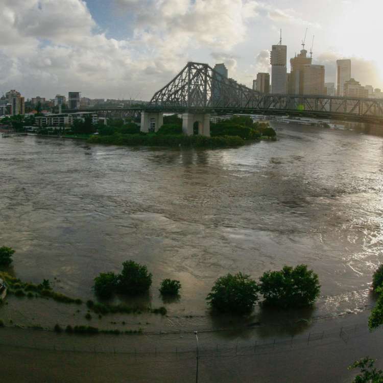 Brisbane River at an ecological 'tipping point'
