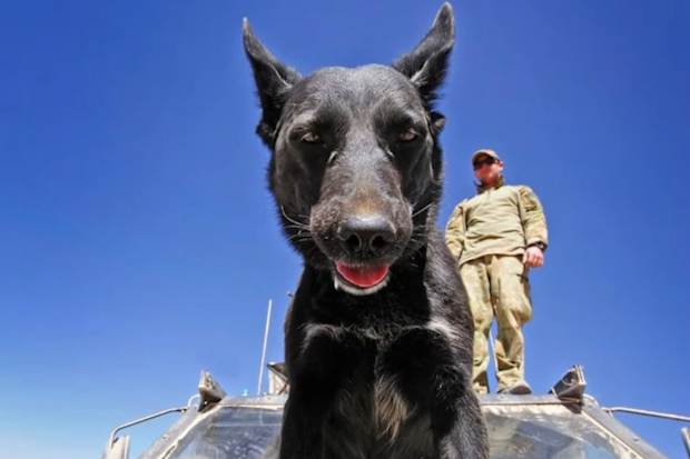 Afghanistan war: Footage shows Aussie soldier’s brush with death | Nine ...
