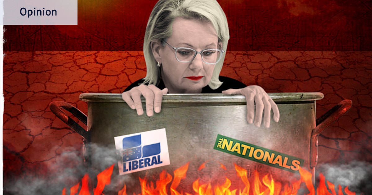 Liberals’ net zero-sum game gathers terminal velocity