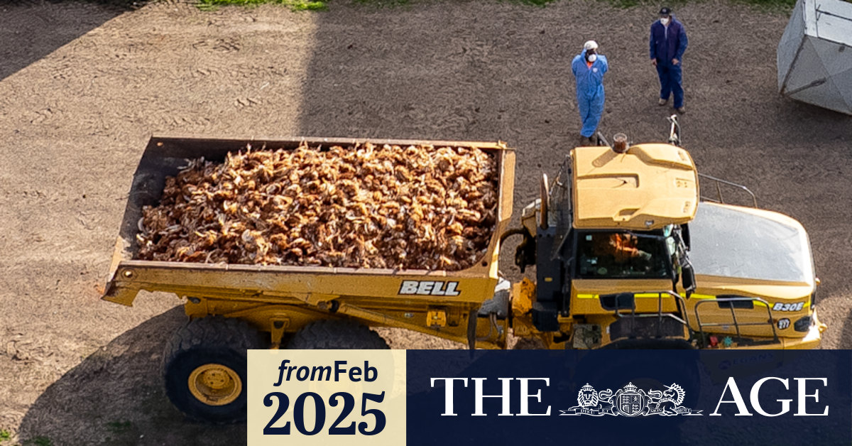 Bird flu Victoria: strain of avian influenza confirmed at farm near Euroa