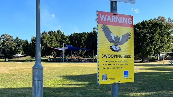 Alert over swooping birds a year after death of baby girl