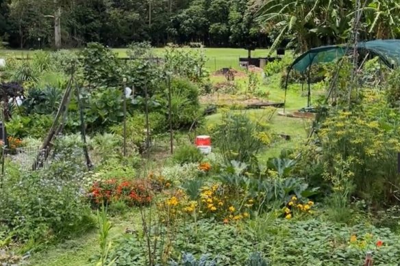 Back to the wild for Brisbane’s neglected urban spaces
