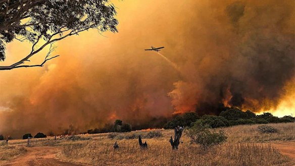 Home lost, residents evacuate as three separate bushfires rage across ...
