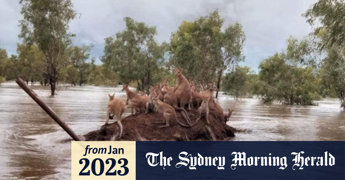 Kimberley floods: Flood warnings extend to Broome after ex-cyclone ...