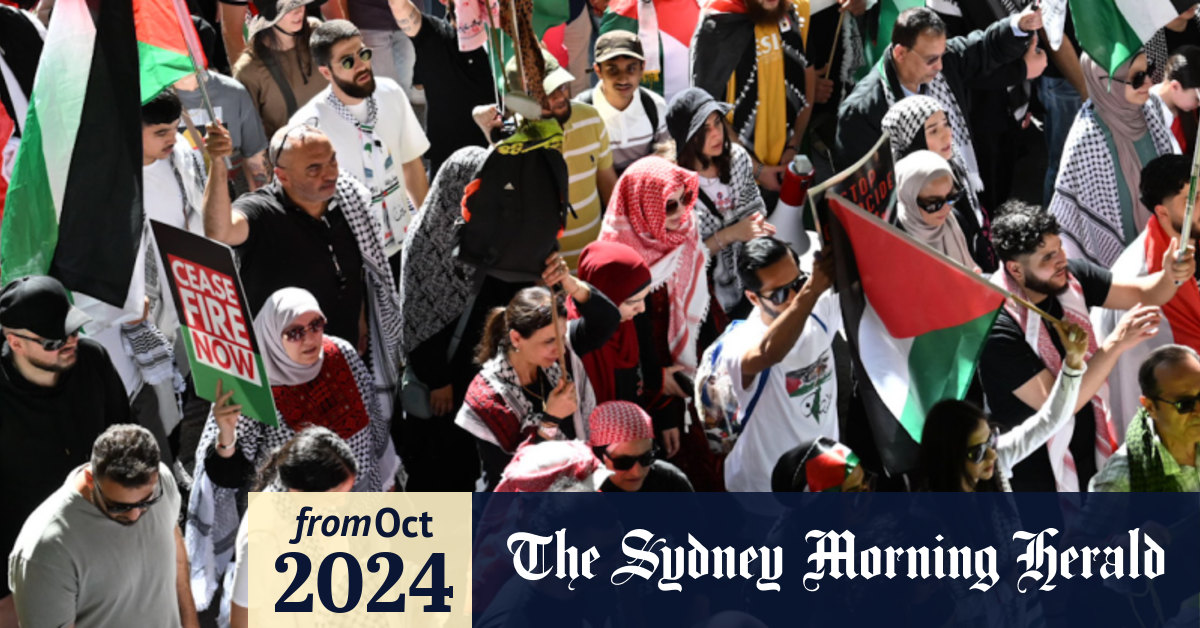 Pro-Palestine protests criticism by NSW government stoking division ...