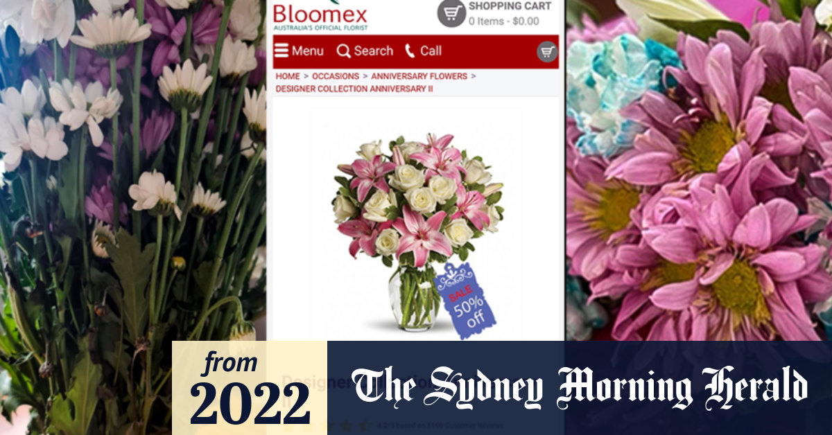 Shonky awards 2022: Qantas, Bloomex, Zega Digital cookware, Steggles ...
