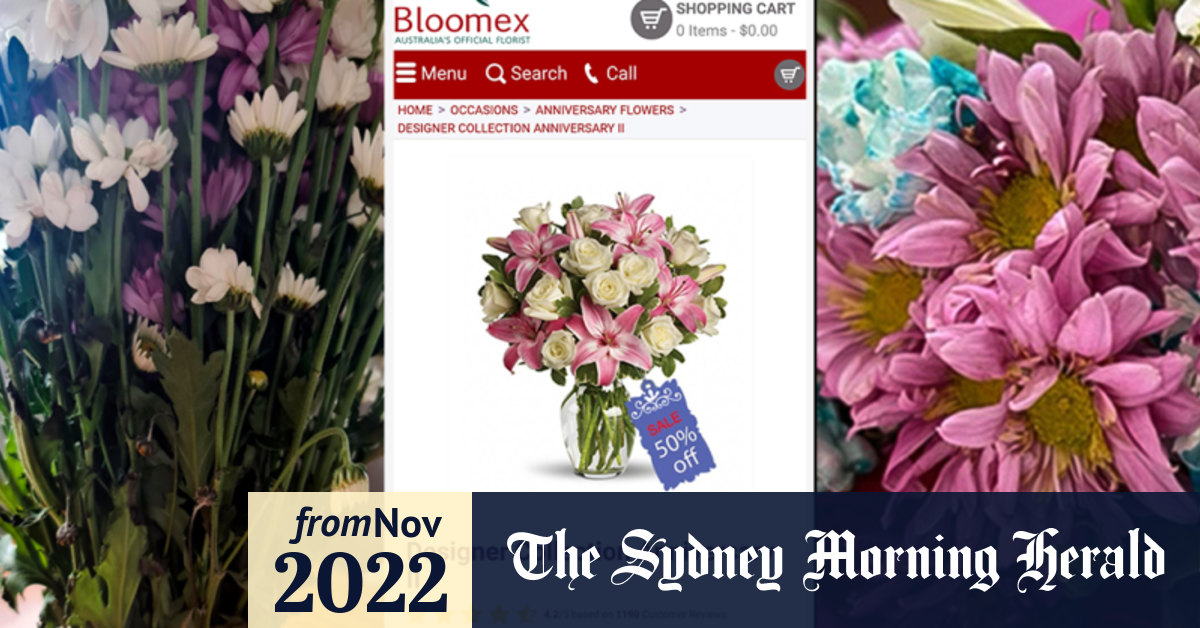 Shonky awards 2022: Qantas, Bloomex, Zega Digital cookware, Steggles ...