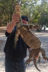 Goanna attacks Queensland man then turns on paramedic who came to help