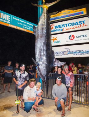 Giant blue marlin catch in Exmouth to break Australian record