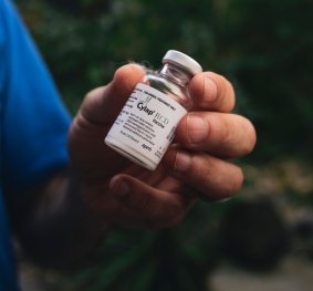 Canberra vets struggle to keep up with demand for calicivirus vaccine