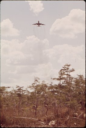 Everglades Jetport: How the 'airport of tomorrow' now lies abandoned in ...