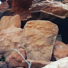 'Incredibly exciting': School children find old guns hidden in ...