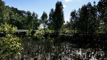 Everlasting Swamp to be state's newest national park