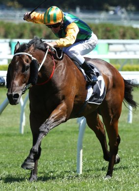 Terravista brother Ball Of Muscle flexes muscles for Joe Pride double