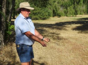 Water diviners, dowsers, may have special sensitivity to electromagnetism