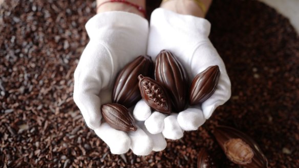 A ‘choose-your-adventure’ in cacao: Melbourne’s best bean to bar ...