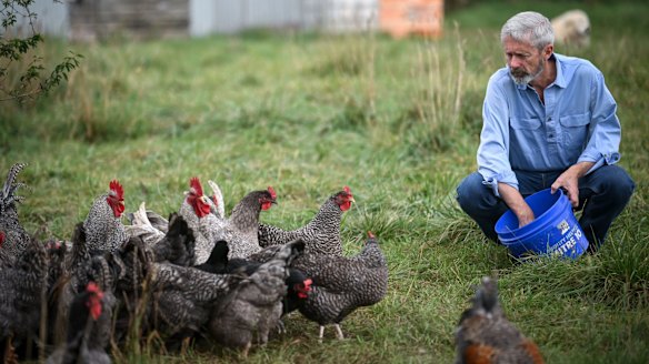 Worrying sign for artisan producers: Milking Yard chooks and Shaw River ...