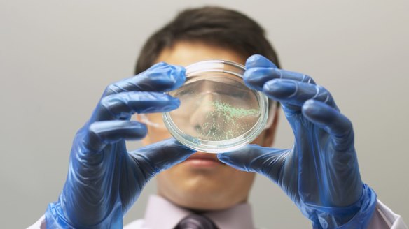 How Australian scientists are bending the rules to get research funding