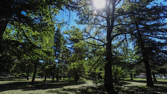 Haig Park desperately needs a revamp