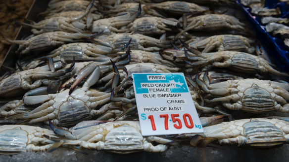 Where to find Victoria’s freshest seafood