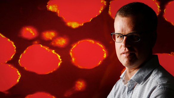 Researchers give type 1 diabetics new hope