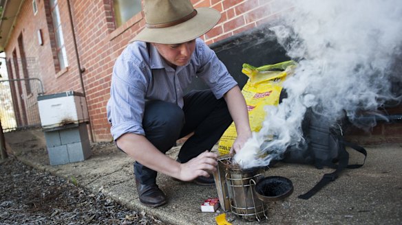 Dynamic bee-keeper Sam Malfroy is making a buzz in Canberra
