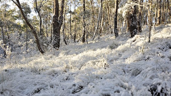 Sydney weather: Winter arrives with icy blast, snow at alpine resorts