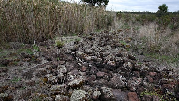 Could Budj Bim in western Victoria be Australia's 20th World Heritage site?