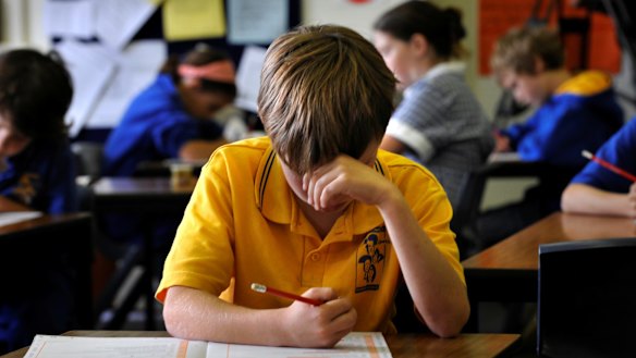 Education: NAPLAN testing regime failing students with speech, language ...