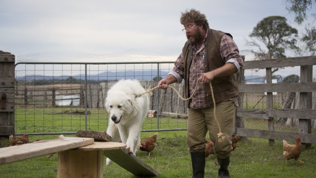 Oddball review: Even with Shane Jacobson, the animal-movie magic is elusive