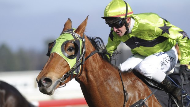 Jockey Richard Bensley opens with hat-trick at Canberra's Thoroughbred Park