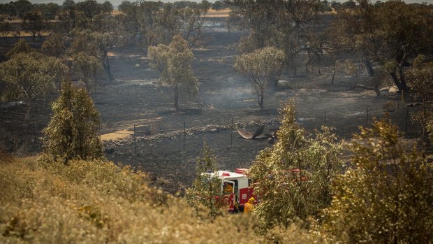 More than 300 fires break out across the state as temperatures soar