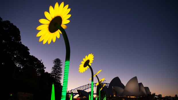 Vivid Sydney takes a psychedelic trip through the trees in the Royal ...