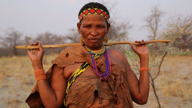 Botswana bushmen safari: Survival secrets of the San