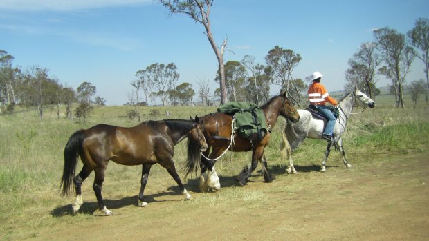 The lawyer who rode into town after crossing Australia on horseback and ...