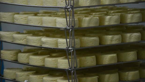 To the cheesemobile! WA cheesemaker creating his own style